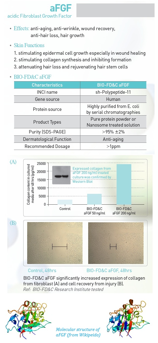 BIO-FD&C 바이오에프디엔씨